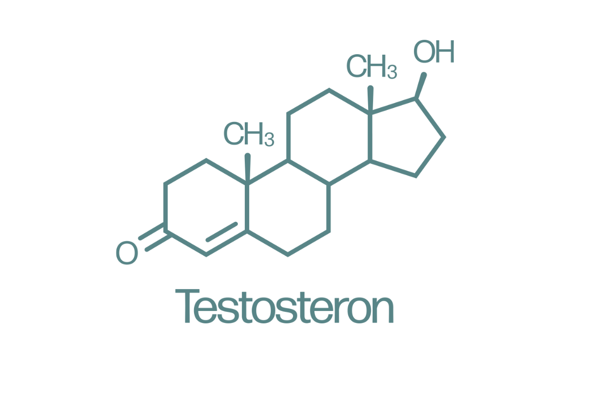Testosteron is meer dan een mannelijk hormoon – Zelftestlab